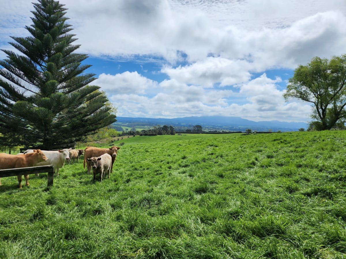 Property development – Land development | Design Builders